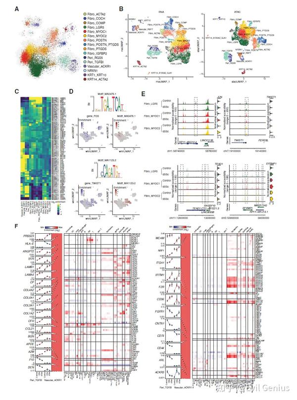 单细胞多组学（scRNA + scATAC或者snRNA + snATAC）联合分析的ATAC分析部分的解读 - 知乎