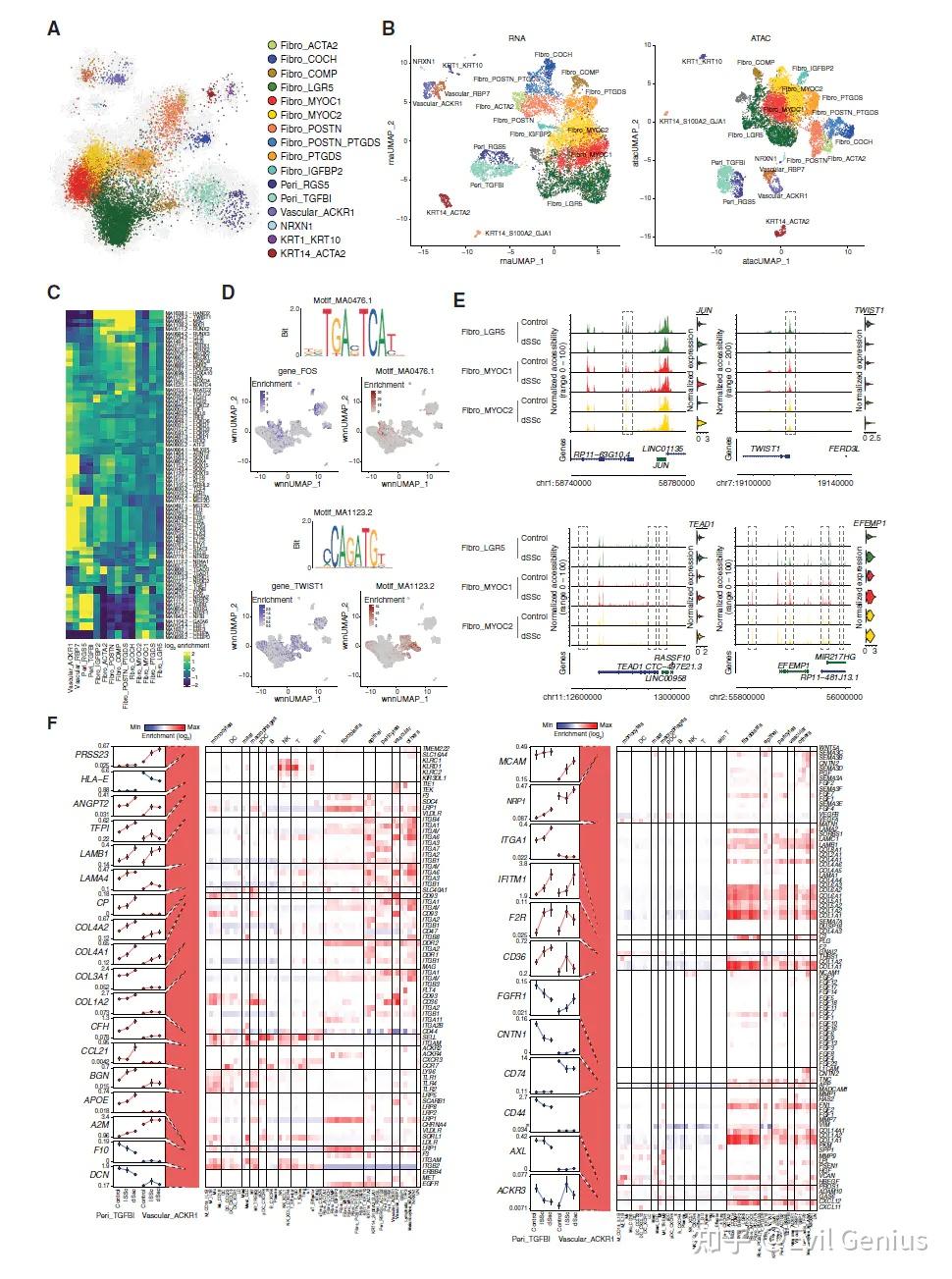 单细胞多组学（scRNA + scATAC或者snRNA + snATAC）联合分析的ATAC分析部分的解读 - 知乎