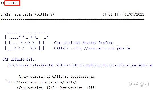 【10】cat12进行SBM分析 - 知乎