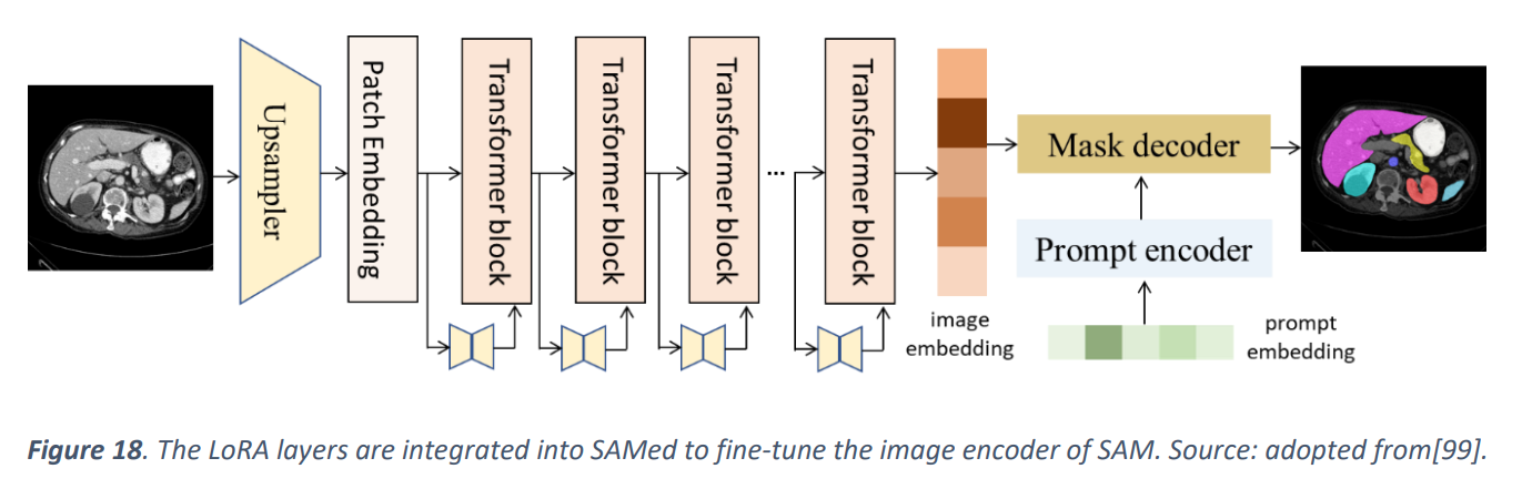 SAM/SAM2赋能视频万物分割与追踪：一篇“过去、现在、未来”的全面综述 - 知乎