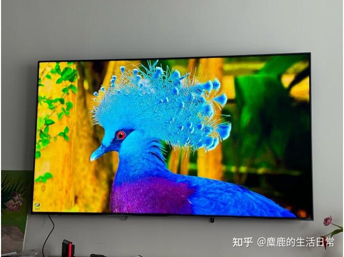 海信2024年新品 E5N Pro和去年的E8K比较的话，75寸买哪个好点？ - 知乎