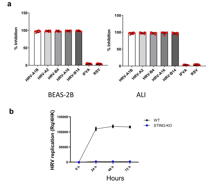 支气管上皮细胞BEAS-2B与CRISPR/Cas9基因编辑的美妙联动！ - 知乎