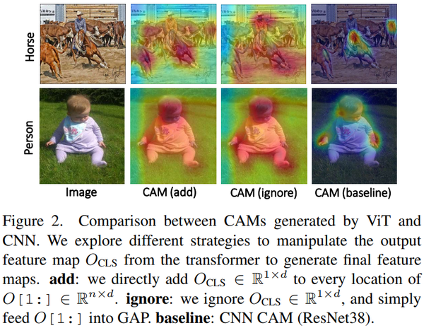 【论文阅读】《GETAM: Gradient-weighted Element-wise Transformer Attention Map for WSSS》 - 知乎