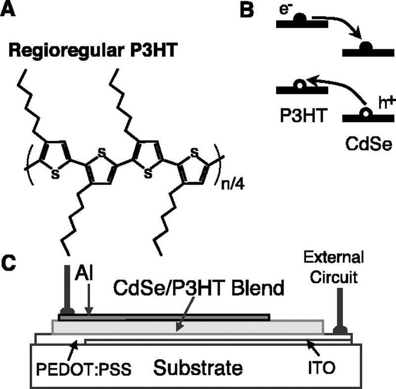 P3HT：超简单聚合物给体助力OSC性能不断突破 - 知乎