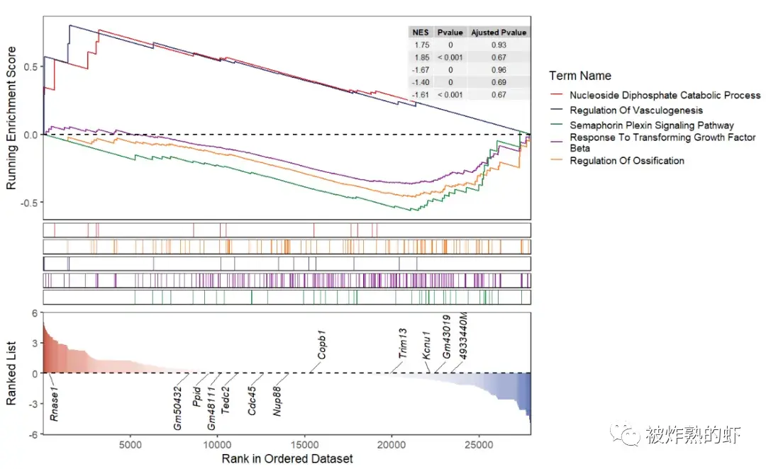 富集分析可视化 | GseaVis - 知乎