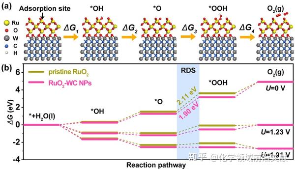 Angew. Chem.: 双功能WC基底调控RuO2纳米颗粒助力酸性全电解水 - 知乎