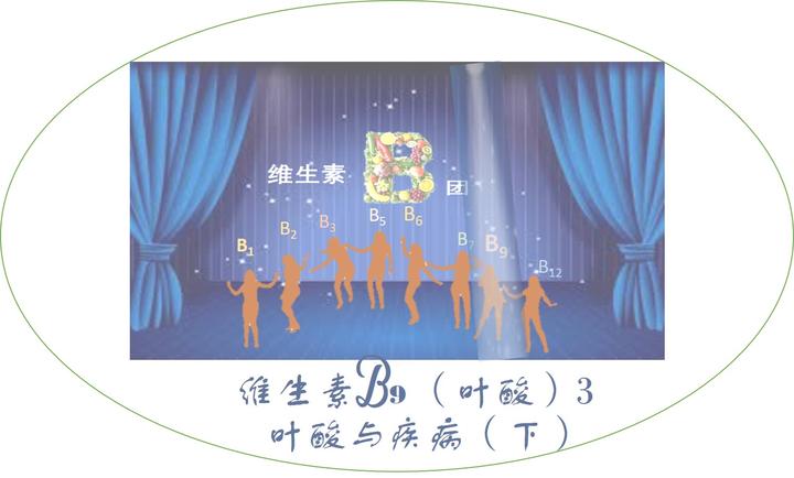 B族维生素系列（七）：维生素b9（叶酸）（2）生理功能篇 知乎