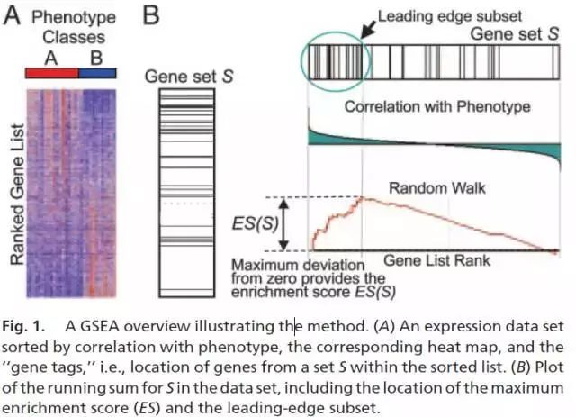 一文掌握GSEA，超详细教程！ - 知乎