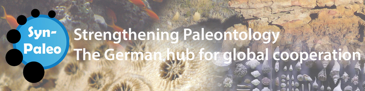 古生物领域有意思的项目——PaleoSynthesis - 知乎