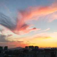 javascript中find(), findIndex(), filter(), some(), every(), forEach ...