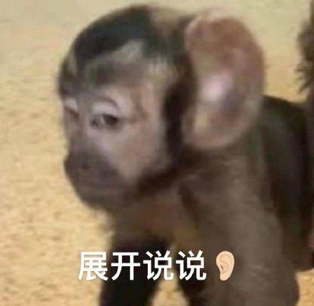 吗喽表情包、猴子表情包，高清无水印 - 知乎