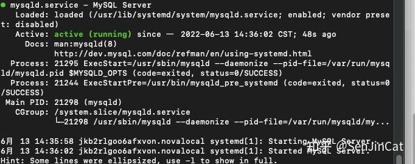 浅记录一下,启动 Mysql出现 Job For Rvice Failed Because The Control