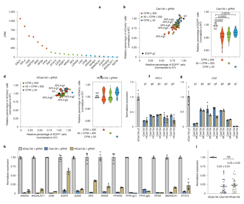 Nat Biotech | 中科院杨辉组通过靶向RNA降解的高保真Cas13变体降低副作用 - 知乎