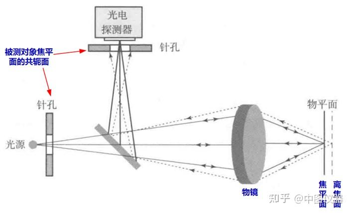 光学显微镜是如何成像的？ - 知乎