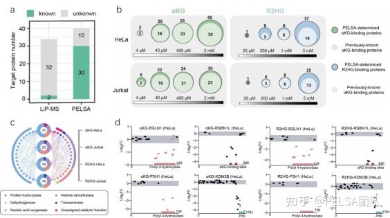 高灵敏度PELSA技术鉴定靶标蛋白质案例：代谢物作用靶蛋白及其结合位点的鉴定 - 知乎