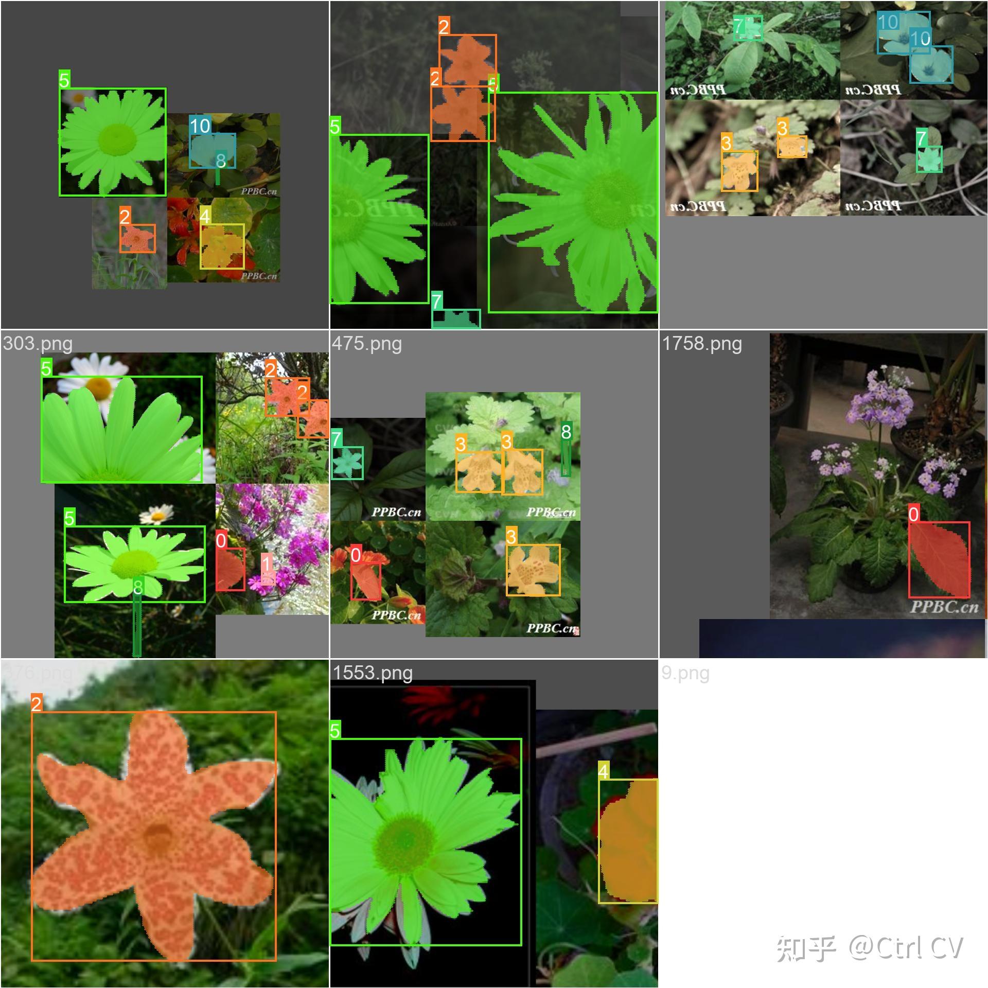 YOLOV8花朵实例分割实战 - 知乎