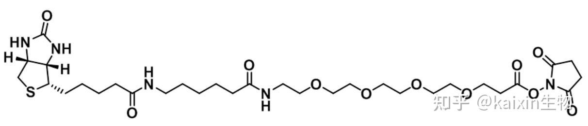 氨基生物素化 (Amine Biotinylation)具体的反应基团是怎样的？ - 知乎
