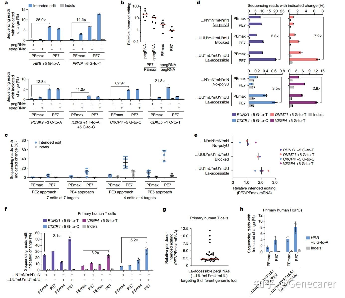 PE7(Primer editor 7)显著提高先导编辑效率！！ - 知乎
