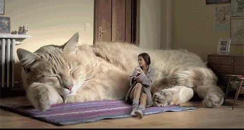 pytorch 源码解读进阶版 - 当你 import torch 的时候，你都干了些什么？（施工中） - 知乎