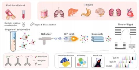 OGM技术临床最新进展发布，看看国内专家怎么说 - 知乎