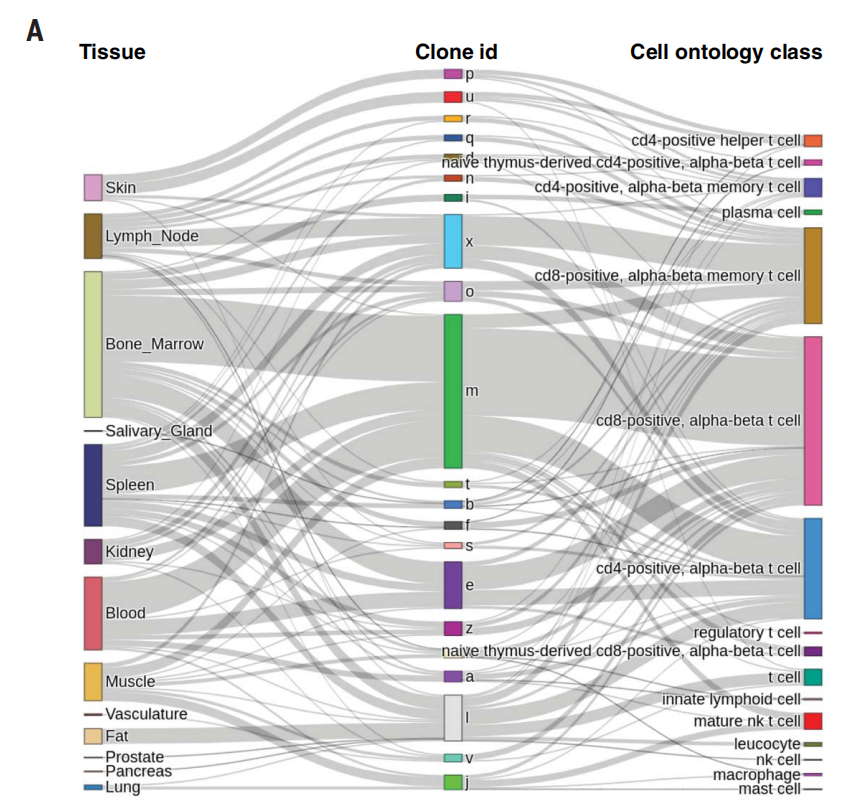 Science | The Tabula Sapiens：人类的多器官、单细胞转录组图谱 - 知乎