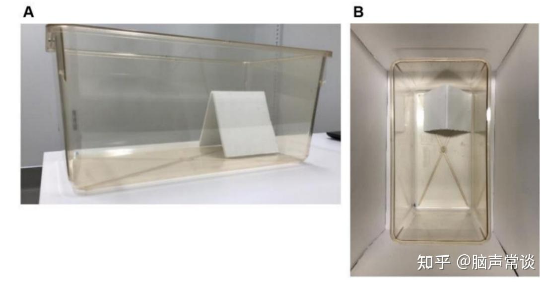 动物行为实验指南：视觉诱发的小鼠本能防御性行为（looming模型）实验方法总结 - 知乎