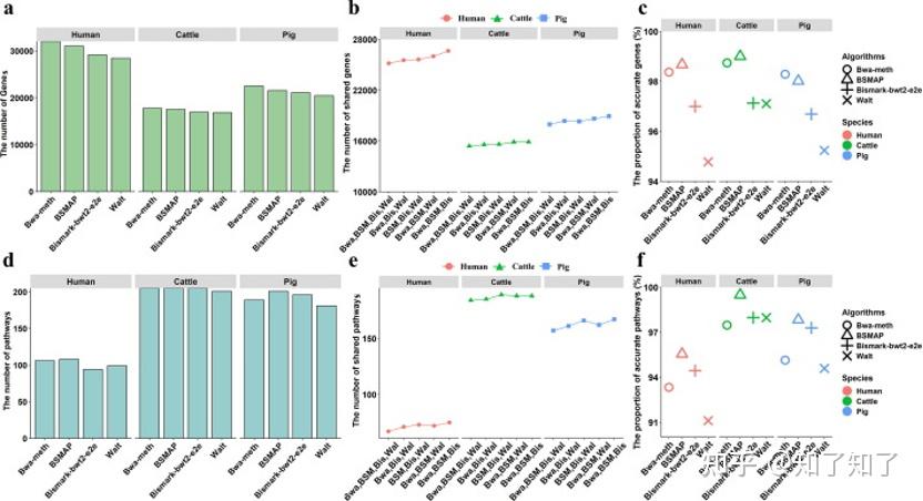 14种全基因组DNA甲基化测序(WGBS)标准分析比对软件的比较 - 知乎