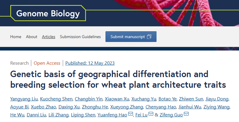 Genome Biology | 中科院植物所郭自峰研究组揭示小麦株型性状地理分化和育种选择的遗传基础 - 知乎