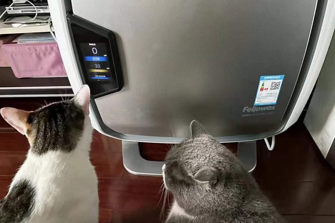 宠物空气净化器选购指南 | 范罗士、Blueair、352、IAM、IQAir五款空气净化器横向测评,养宠家庭更适合哪个品牌？