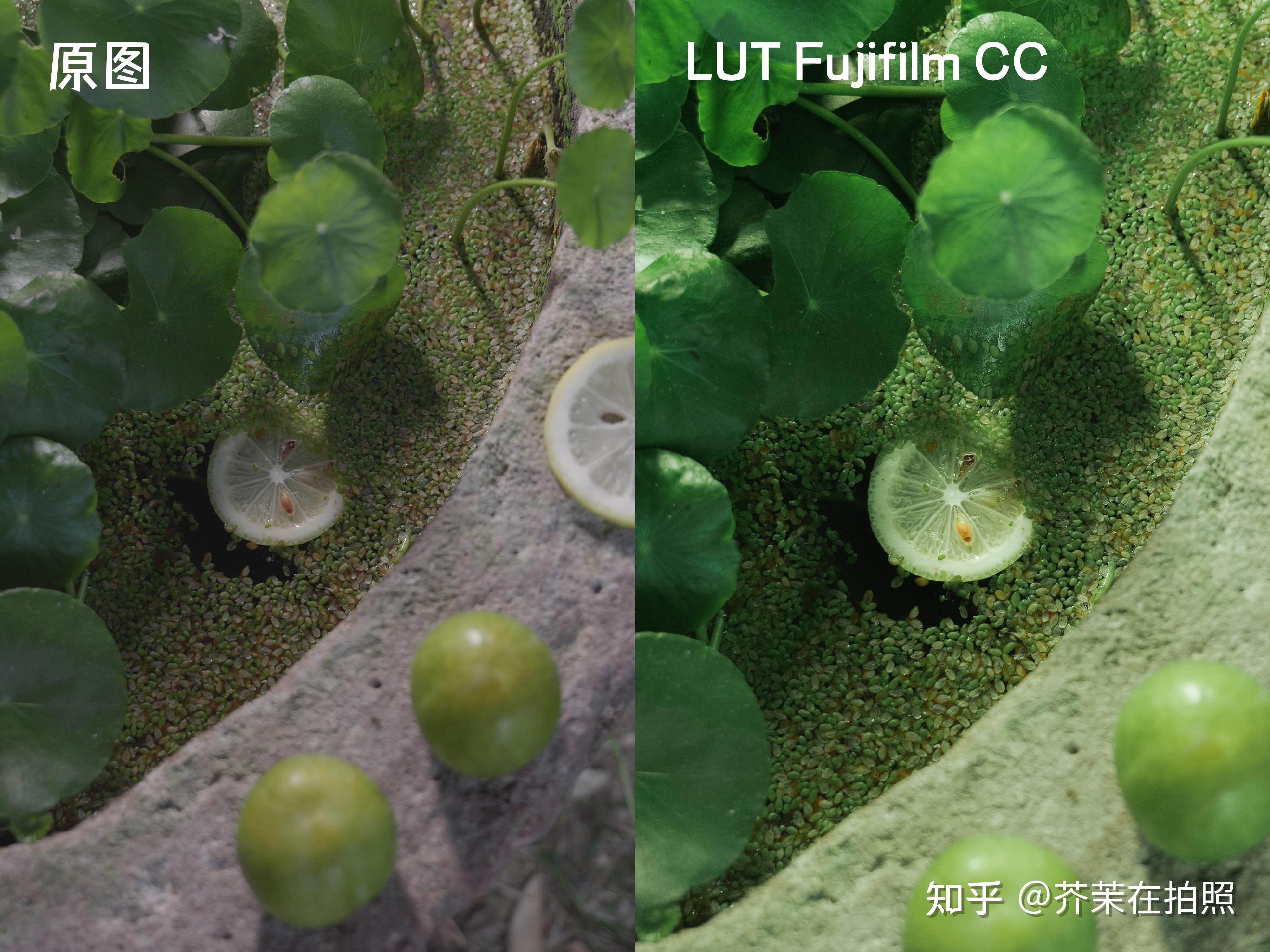 一台松下S9，治好了我的调色内耗｜Magic LUT真香 - 知乎