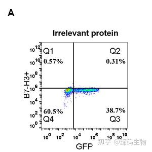肿瘤免疫靶点 | B7-H3 - 知乎