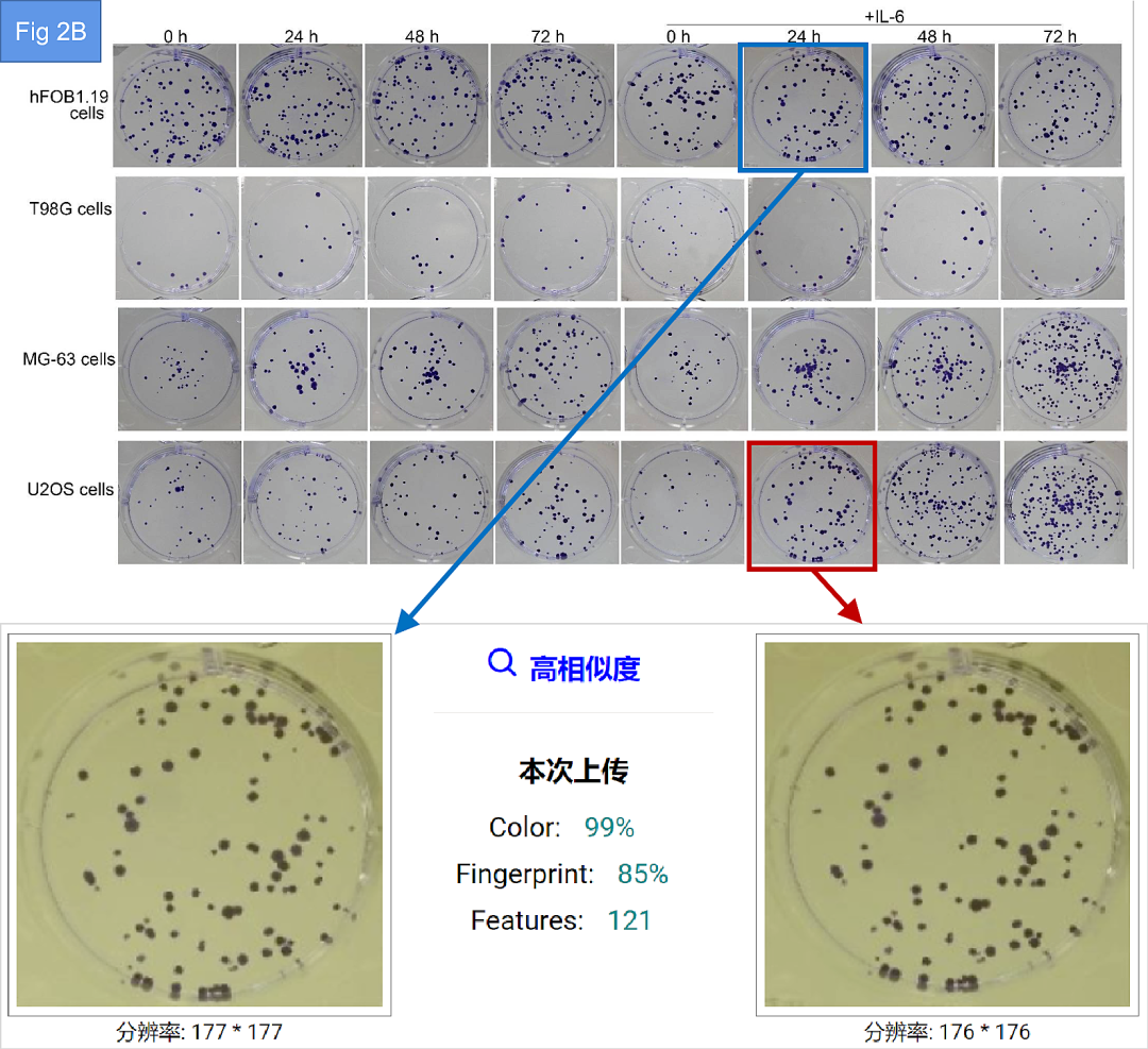 图像查重 | 32张图片组合在一起，你能发现其中的重复问题吗？ - 知乎