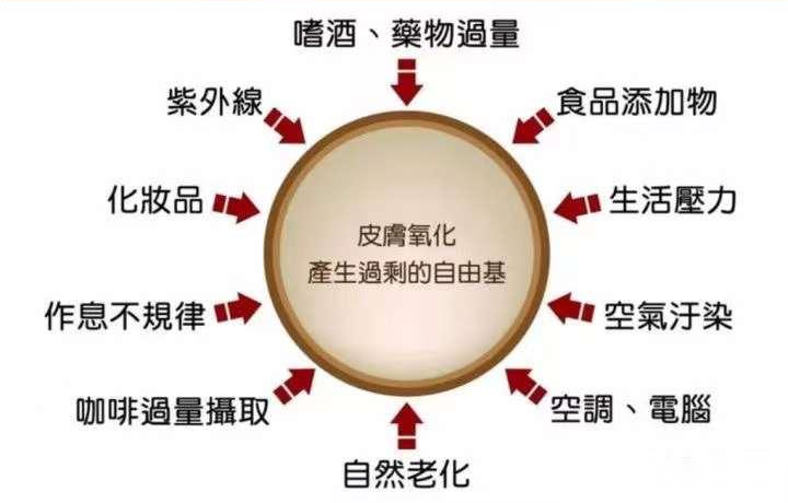 人体内的自由基与抗衰老 知乎