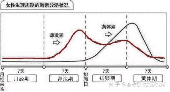 事半功倍的姨妈期减肥指南，拿去 - 知乎