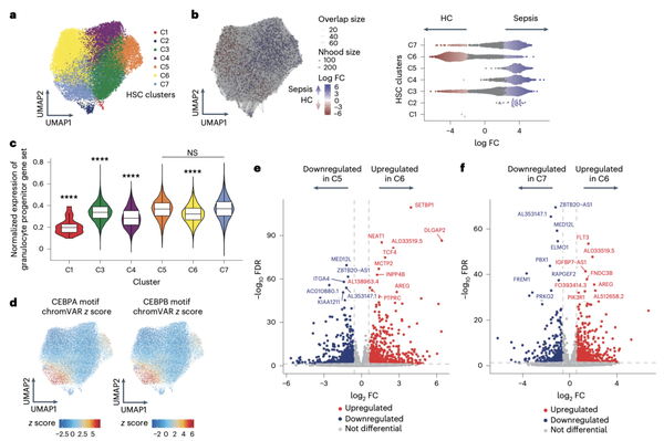 Nature Immunology丨中性粒细胞和急性粒细胞生成导致脓毒症期间的免疫抑制和极端反应内型 - 知乎