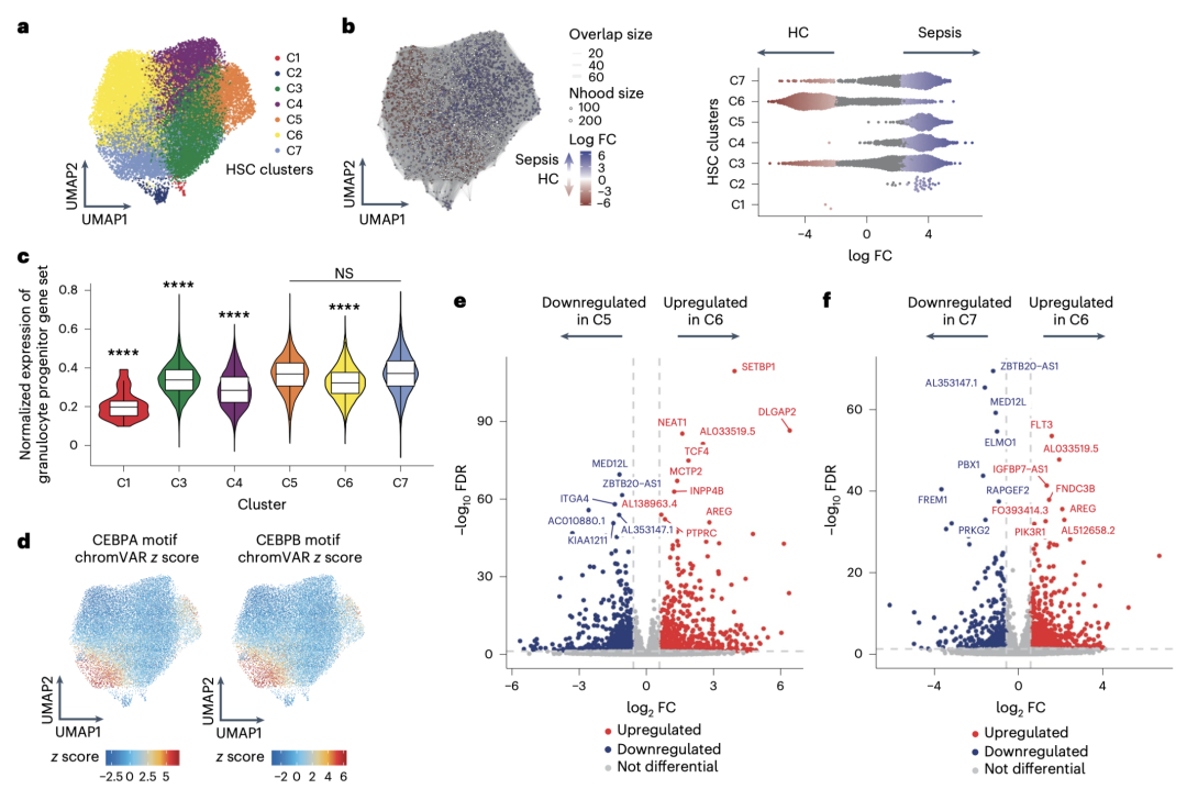 Nature Immunology丨中性粒细胞和急性粒细胞生成导致脓毒症期间的免疫抑制和极端反应内型 - 知乎