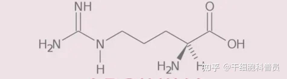 细胞疗法92年历程，跨越15个里程碑! - 知乎