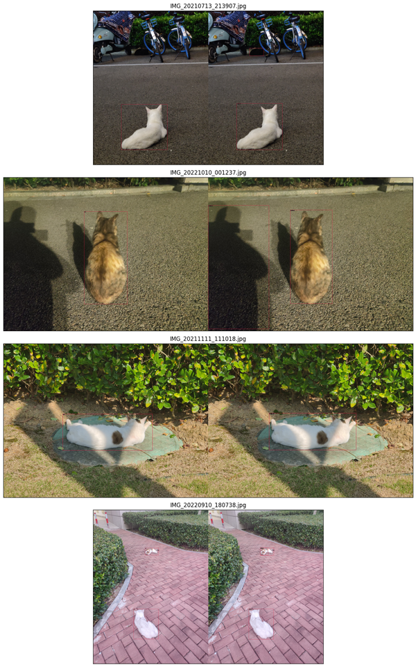 MMDetection实战--基于RTMDet在Cats和10类饮料数据集上的目标检测与MMYoLo Grad-Based CAM可视化 - 知乎