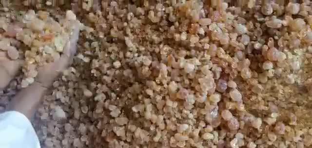 阿拉伯树胶(Gum Arabic)怎么食用？或者有没有什么其他的用处？欧美人是否用到这种东西？ - 知乎
