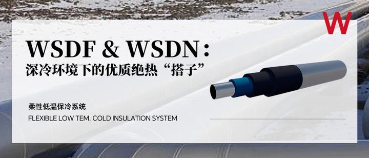 WSDF + WSDN：深冷环境下的优质绝热“搭子” - 知乎