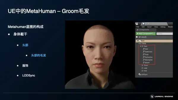 MetaHuman原理及流程浅析 - 知乎