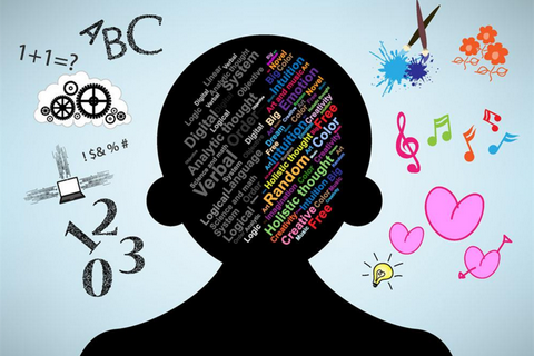 IB TOK怎么选Object? - 知乎