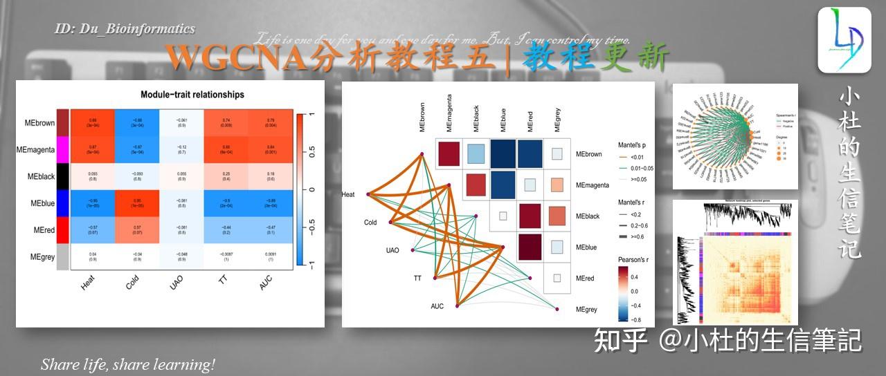 WGCNA分析教程五 | [更新版] - 知乎