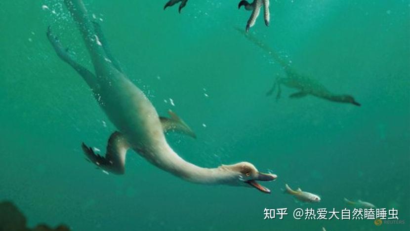 新物种鹅颈恐龙像潜水鸟一样 - 知乎