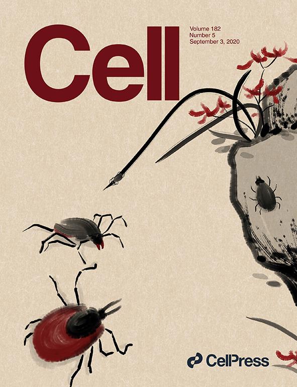 科学与艺术的结合！《CELL》100+张期刊封面鉴赏｜2020年篇 - 知乎
