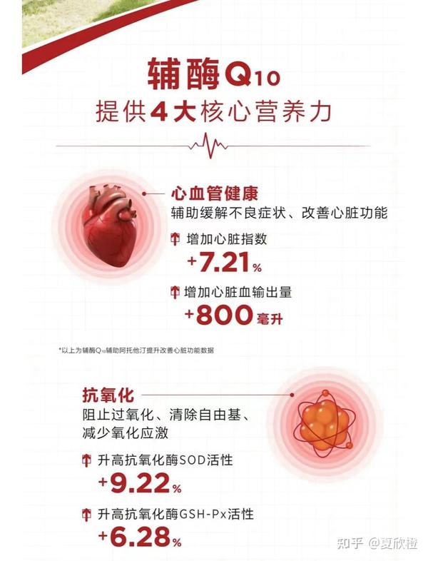 关于辅酶 Q10 的小常识 - 知乎