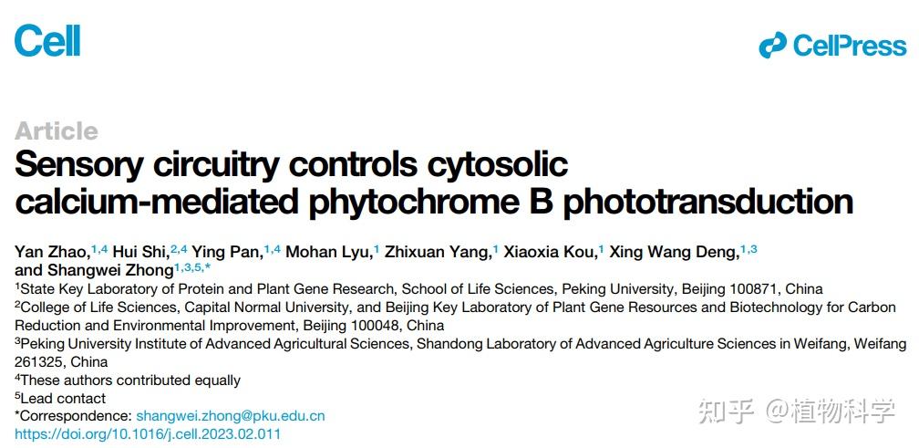 Cell | 打破现有认知！北京大学钟上威团队揭示植物光温受体phyB的入核调控机制 - 知乎