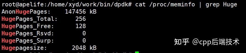 虚拟机dpdk环境搭建 - 知乎