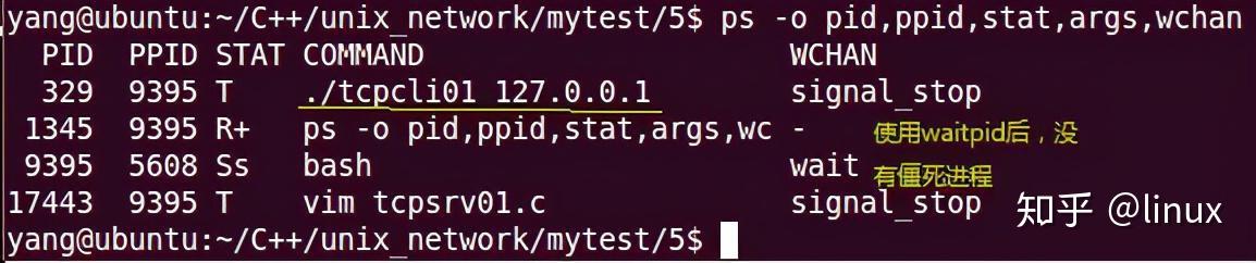 linux下wait/waitpid处理僵死进程详解(SIGCHLD信号) - 知乎