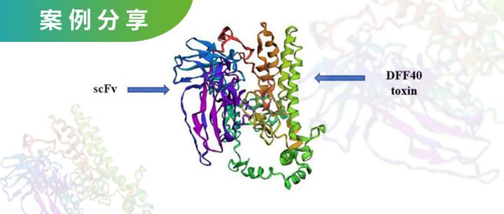 案例分享丨基于HER2特异性scFv和DFF40毒素设计抗乳腺癌人源化免疫毒素的计算机研究 - 知乎